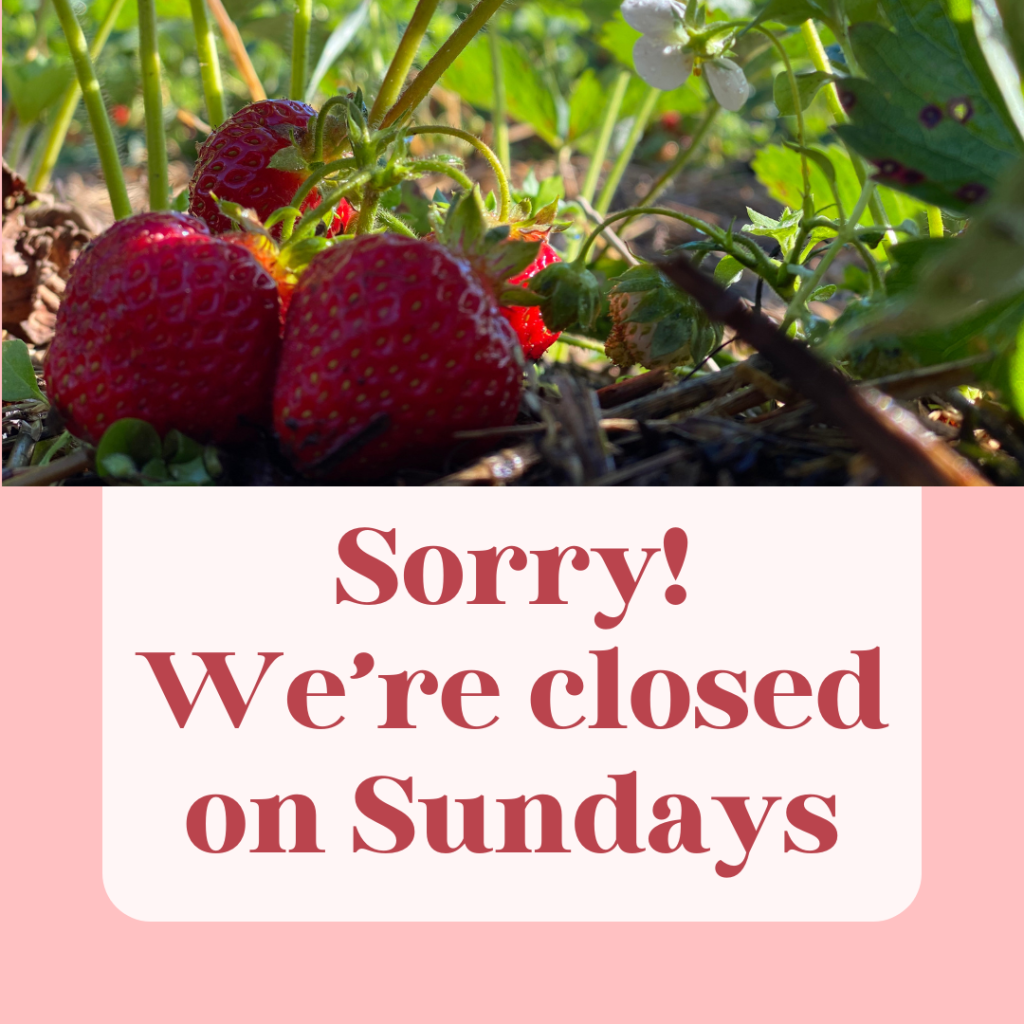 Closed Sunday – Reopen for Pick-Your-Own Strawberries Monday, June 17th ...